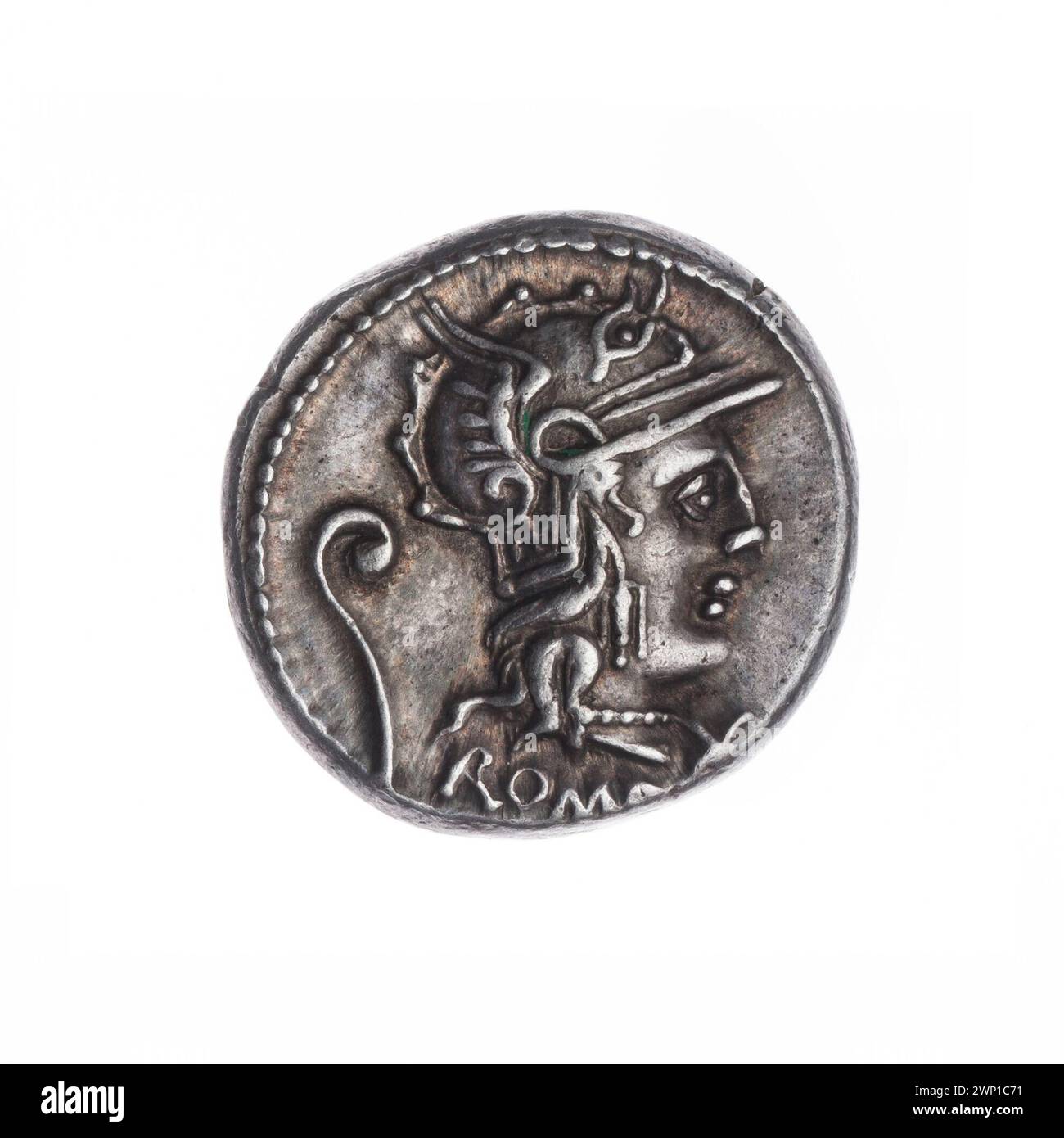 Servilius vatia hi-res stock photography and images - Alamy