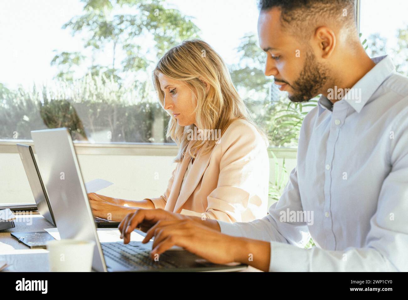 Business people look concentrated while working on their laptops in the office. Business concept ...