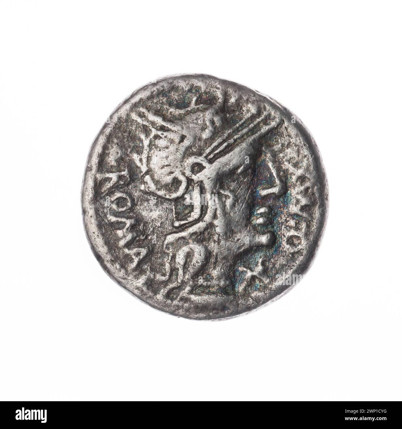 Fabius maximus Cut Out Stock Images & Pictures - Alamy