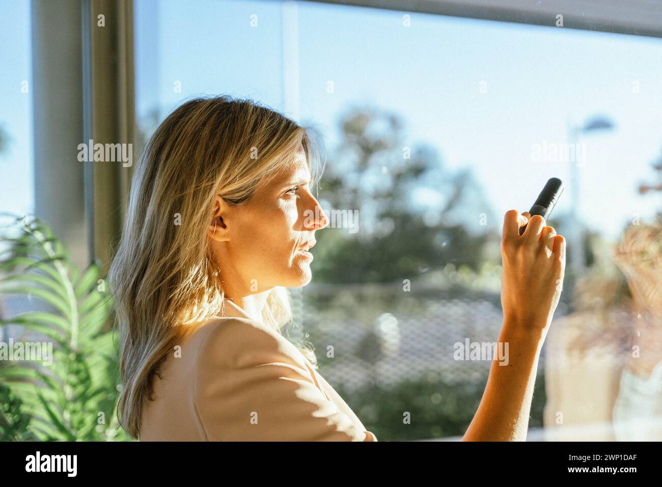 Businesswoman using a marker while writing new ideas on the window ...