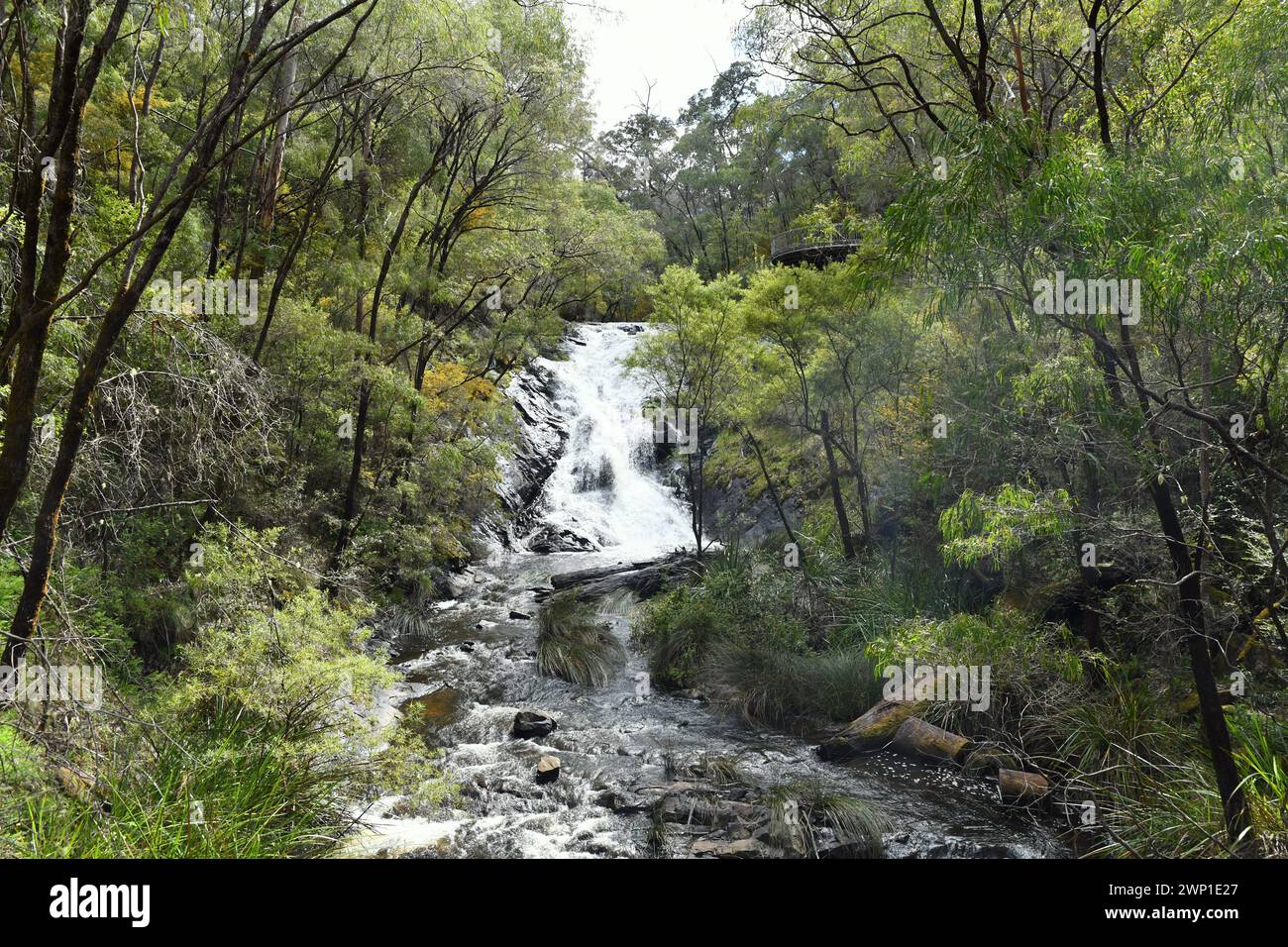 Beedelup falls western australia hi-res stock photography and images ...