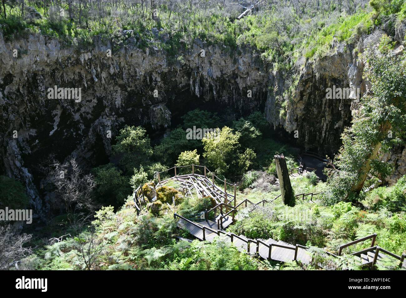 Lake Cave in Western Australia has a series of stairways and paths that ...