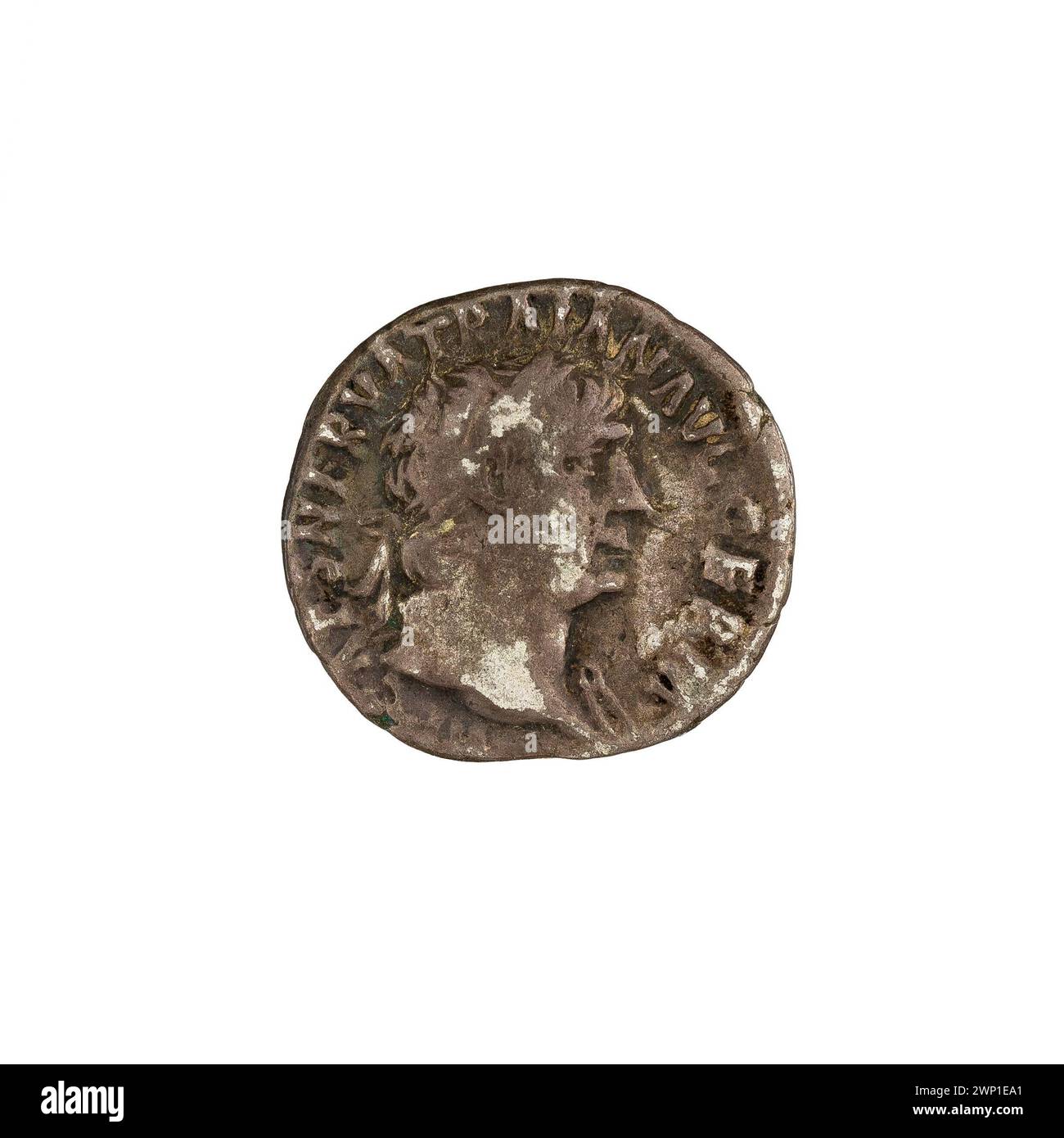 Hercules skins hi-res stock photography and images - Alamy