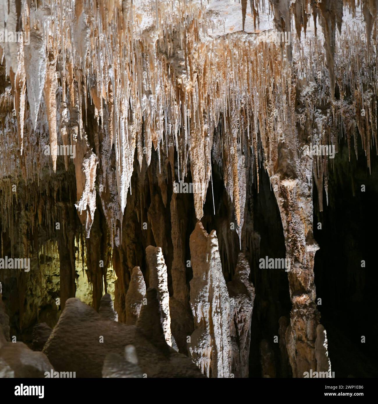 Mammoth Cave in Leeuwin-Naturaliste National Park (WA) features ...