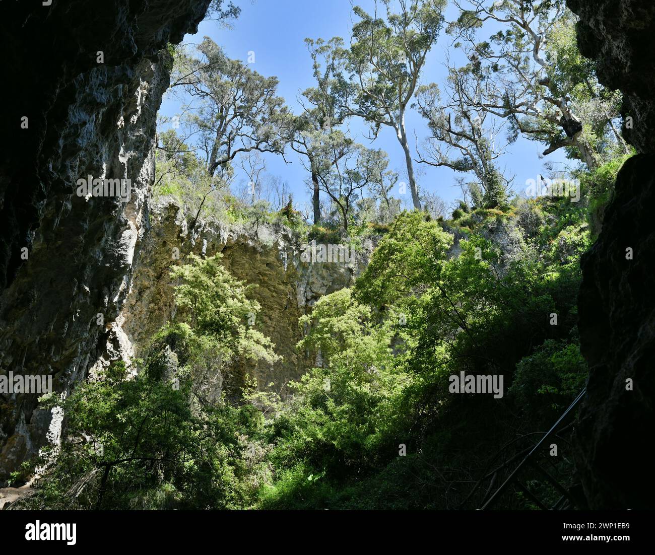 Exit of Mammoth Cave in Leeuwin-Naturaliste National Park (WA Stock ...