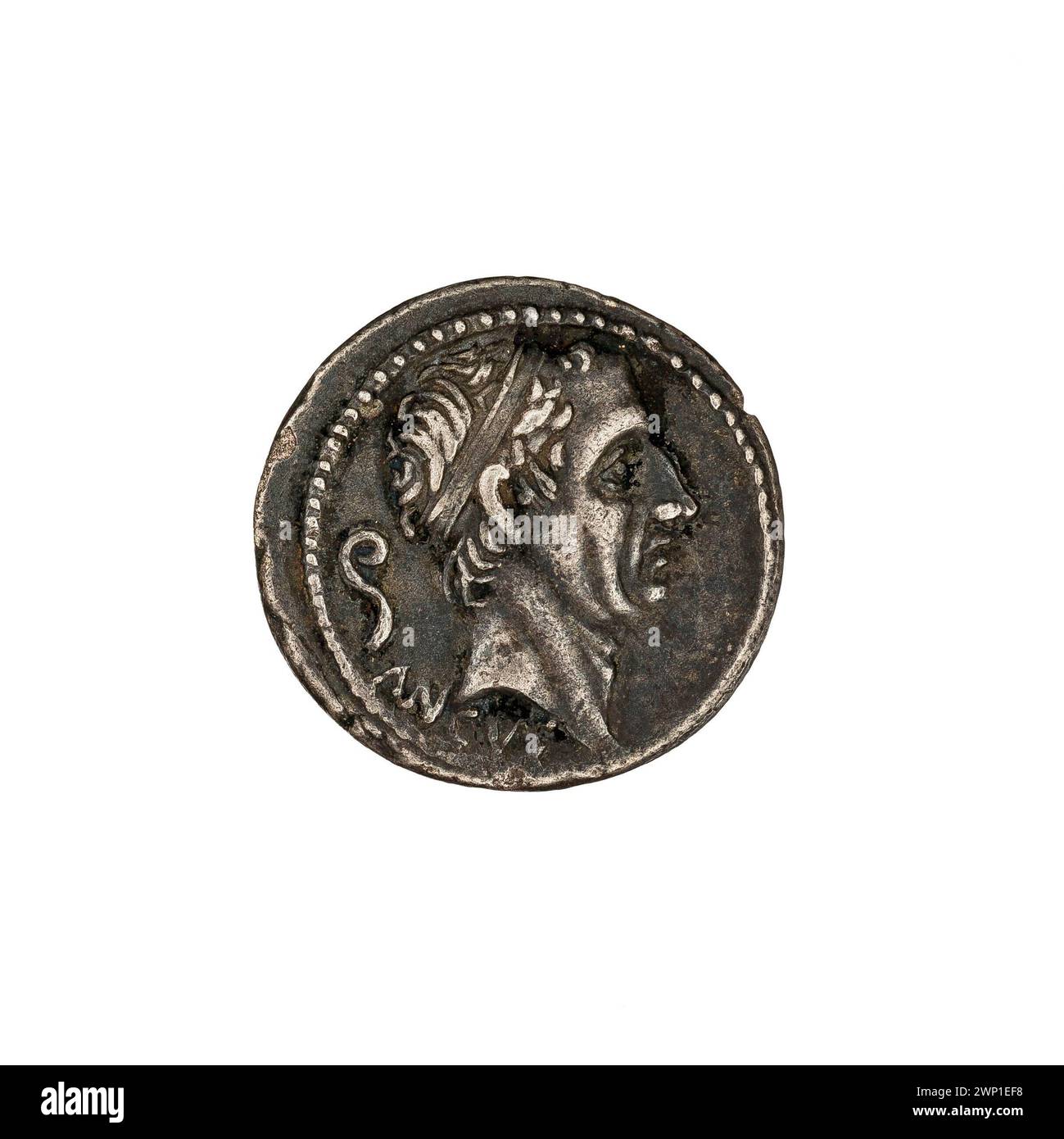 Horse with flowers portrait Cut Out Stock Images & Pictures - Alamy