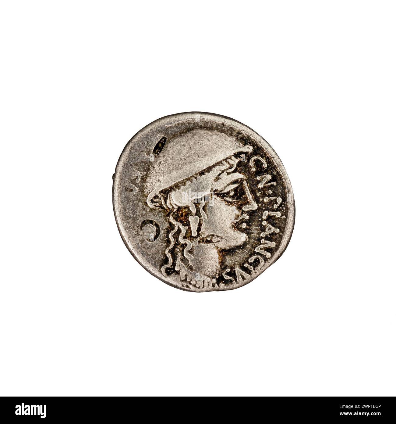 Plancius Cut Out Stock Images & Pictures - Alamy