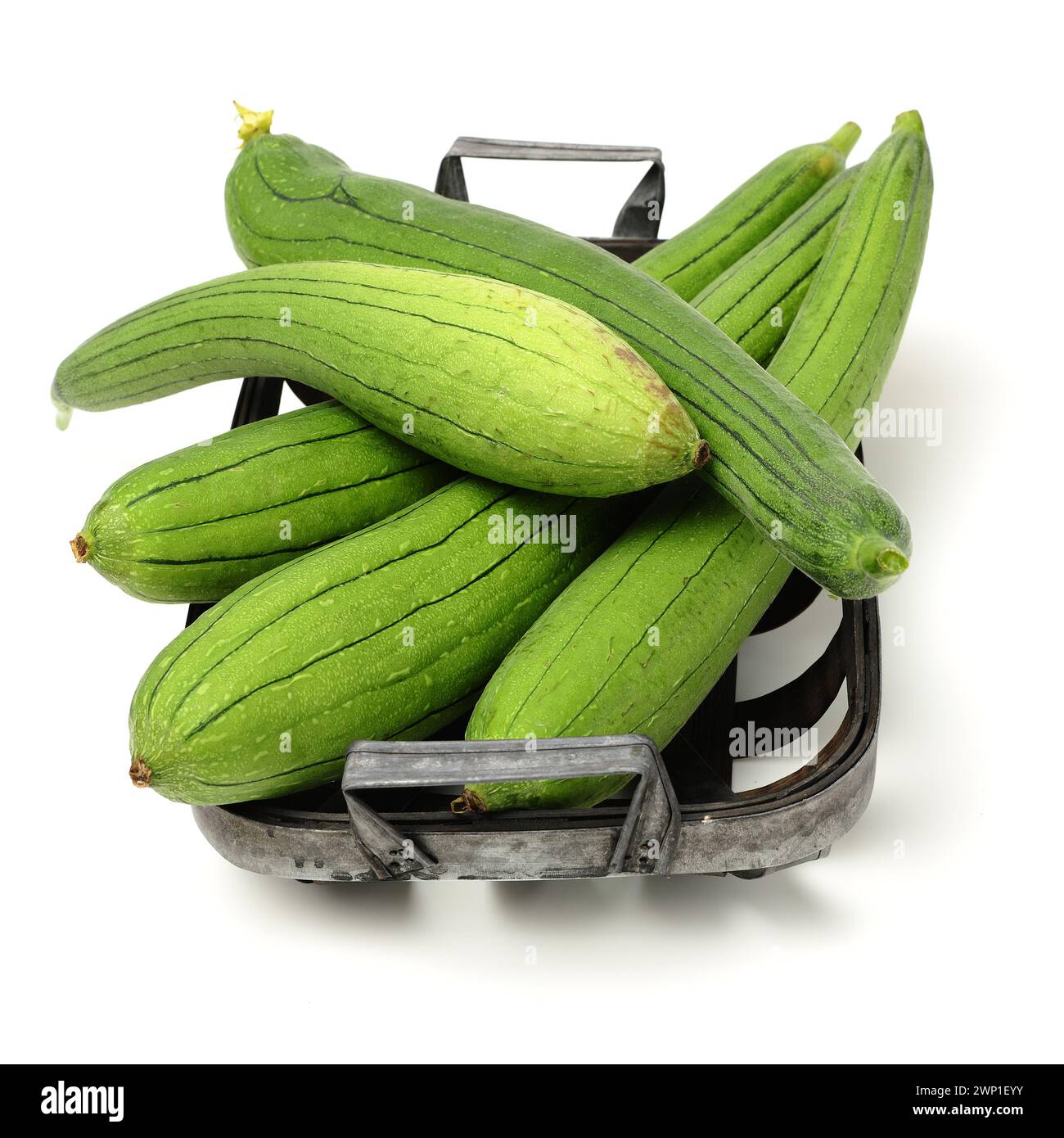 fresh loofah on the white background Stock Photo - Alamy