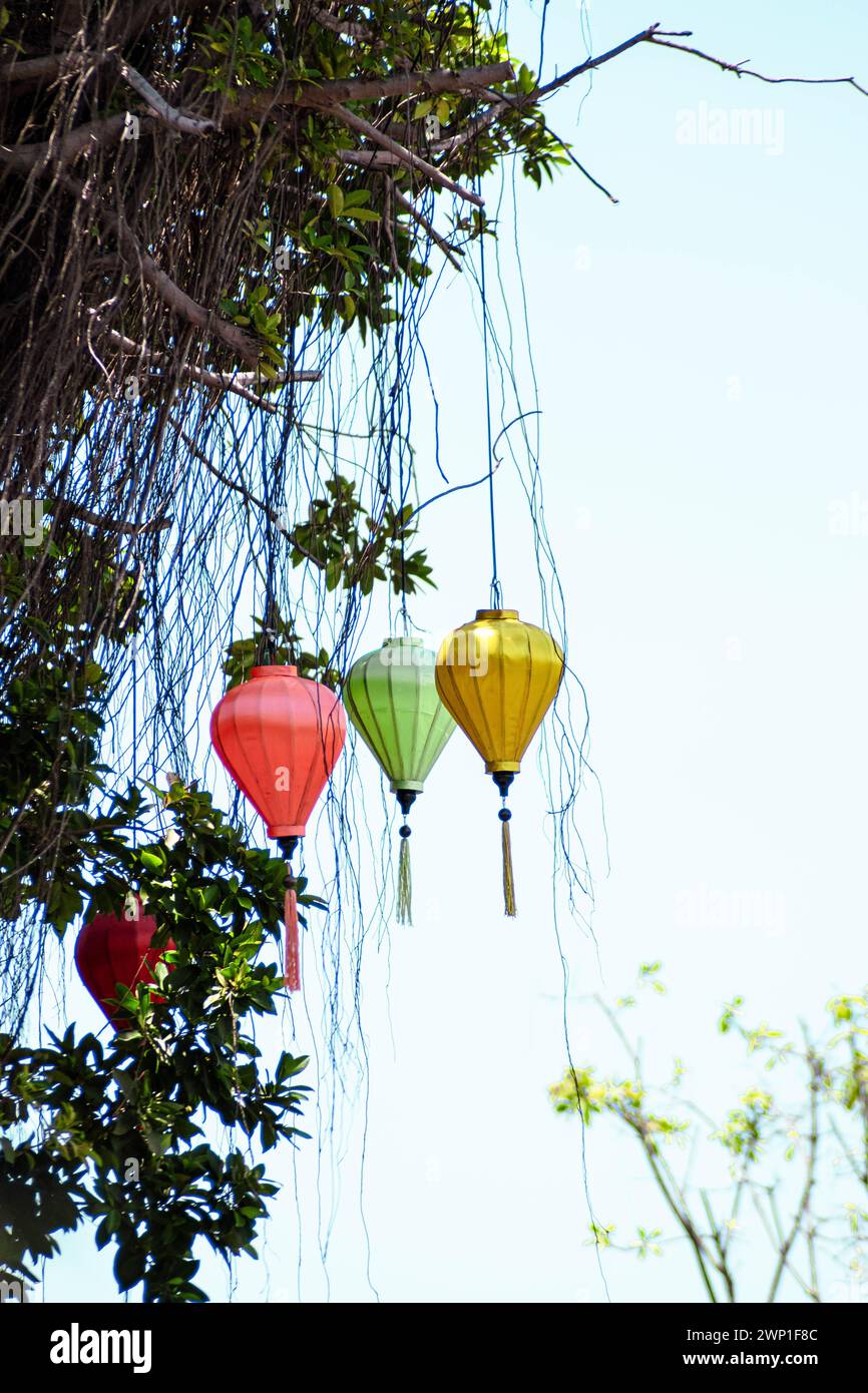 Lanterns hanging from a tree Stock Photo - Alamy
