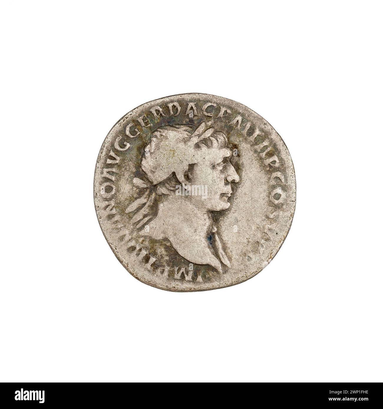 Illustrating ancient flora hi-res stock photography and images - Alamy
