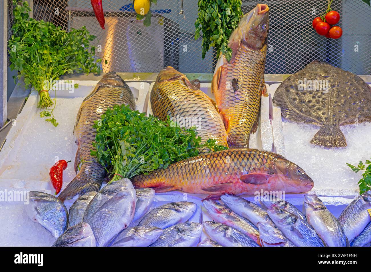Fresh fish in a fish market in Turkey Stock Photo - Alamy