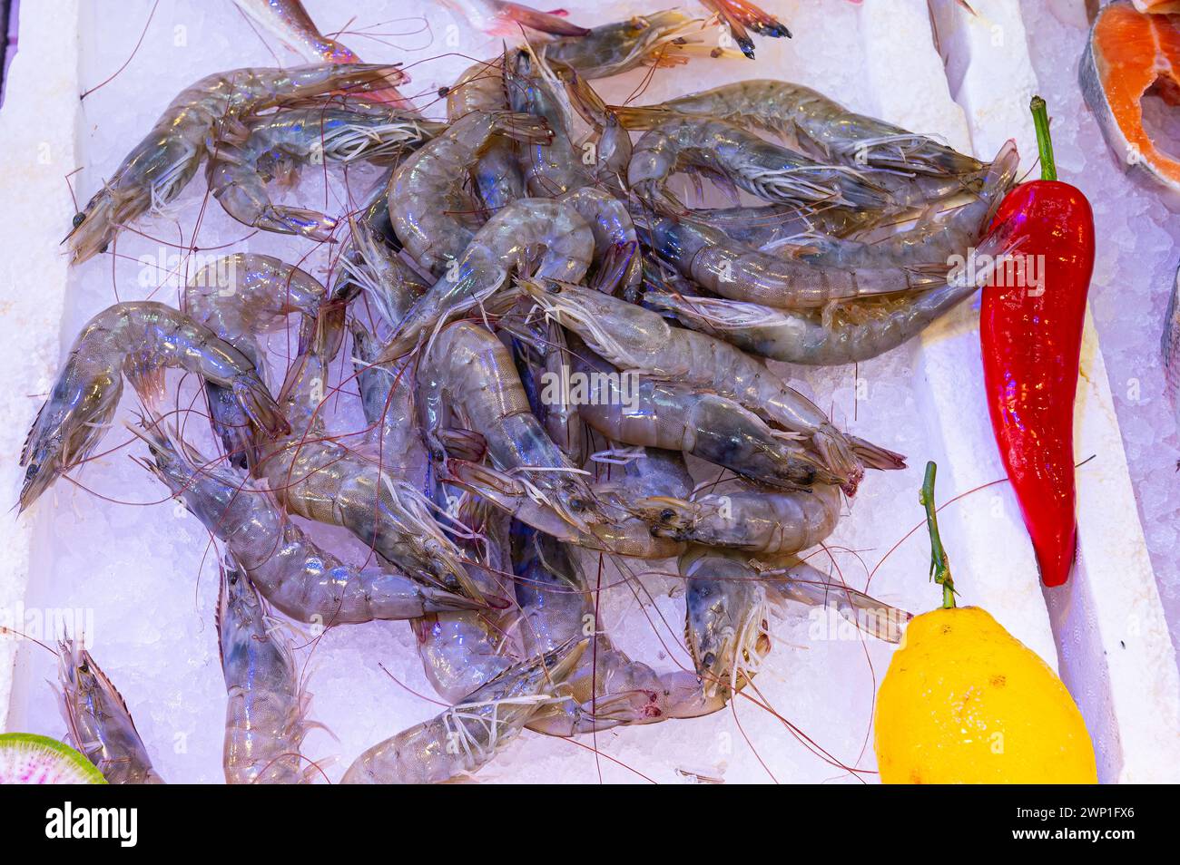 Many fresh shrimp catch hi-res stock photography and images - Alamy