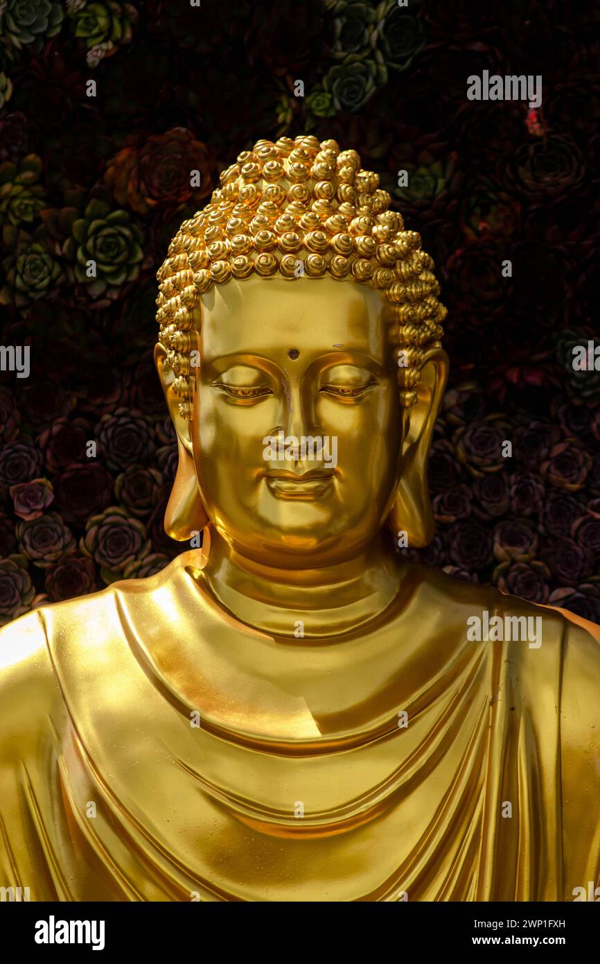 Sa Pa Buddha, Phan xi Pang Stock Photo - Alamy