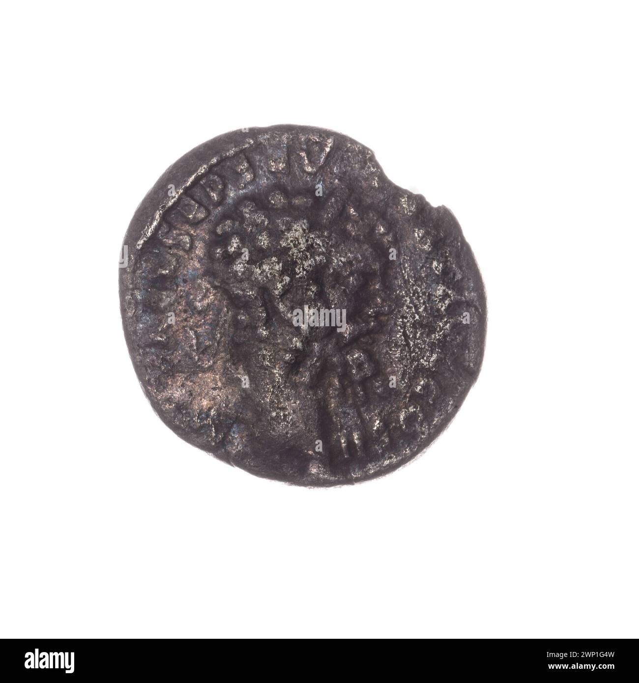 146 the Cut Out Stock Images & Pictures - Alamy