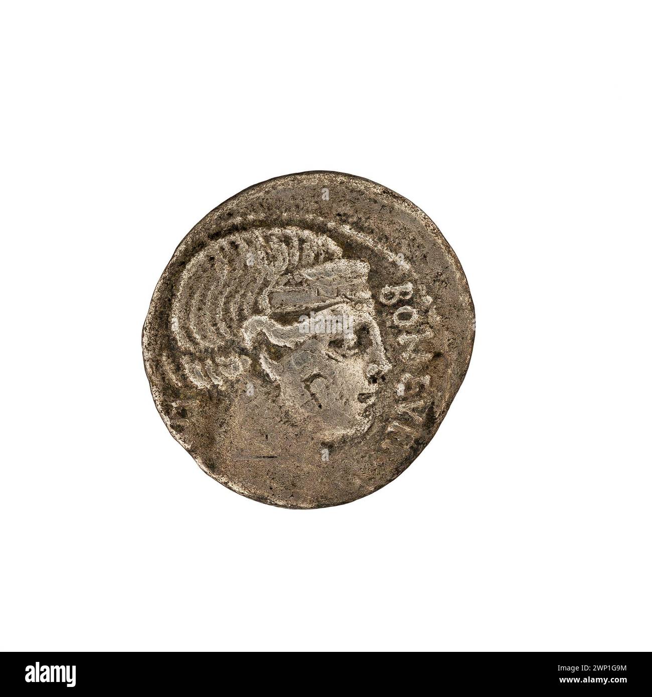 Scriponius hi-res stock photography and images - Alamy