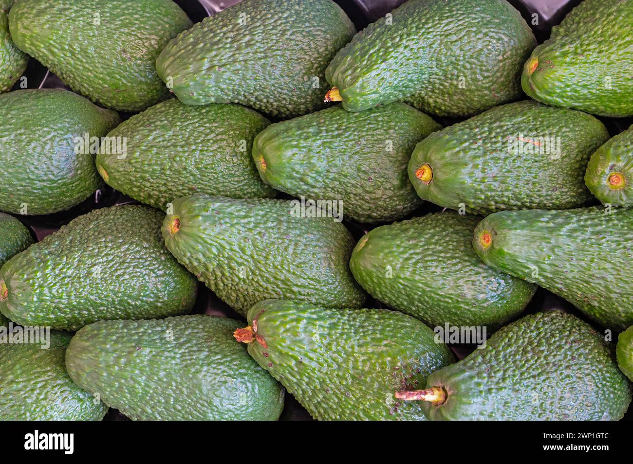 Avocados in a supermarket hi-res stock photography and images - Alamy