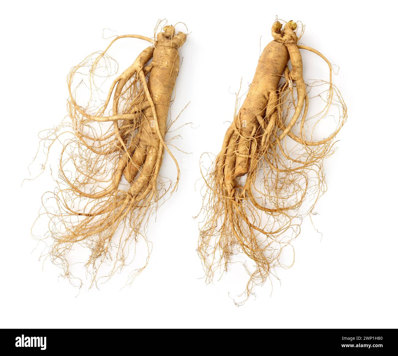 ginseng isolated on white background Stock Photo - Alamy
