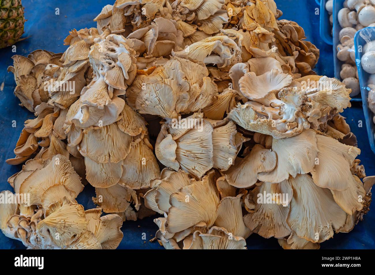 Mushrooms on display farmers market hi-res stock photography and images ...