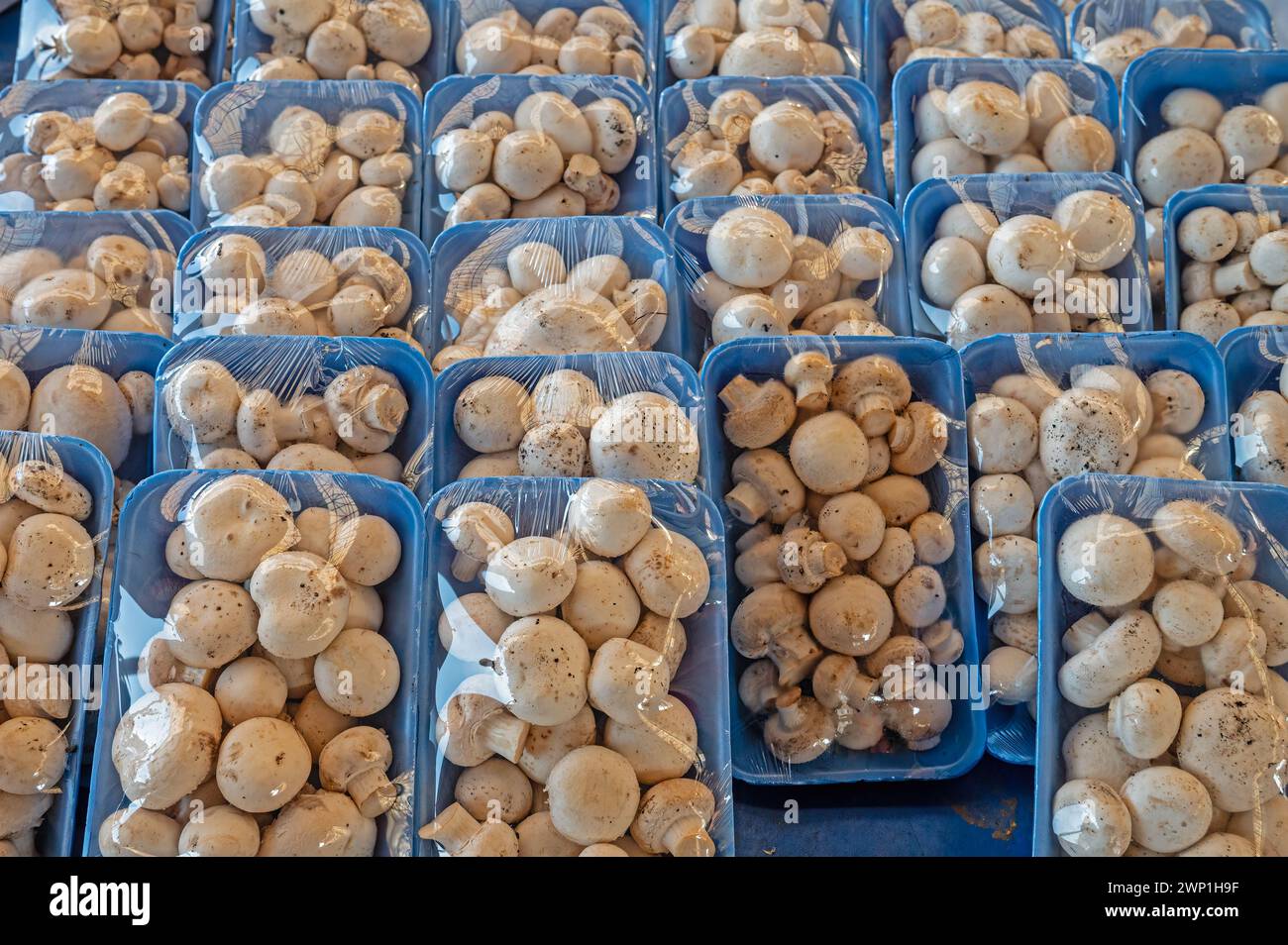 Mushroom displayed for sale on a market stall Stock Photo - Alamy
