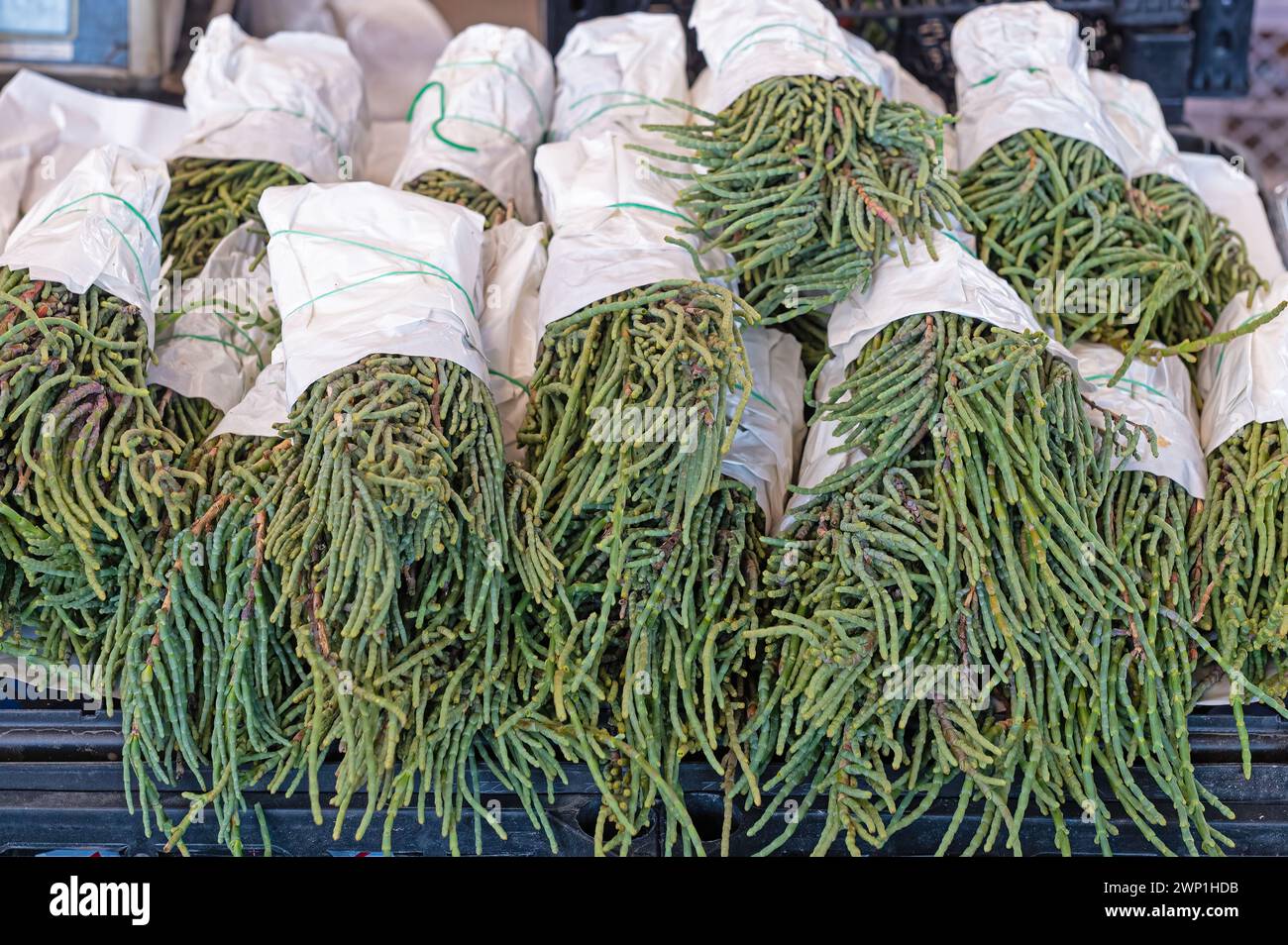 Sea beans hi-res stock photography and images - Alamy