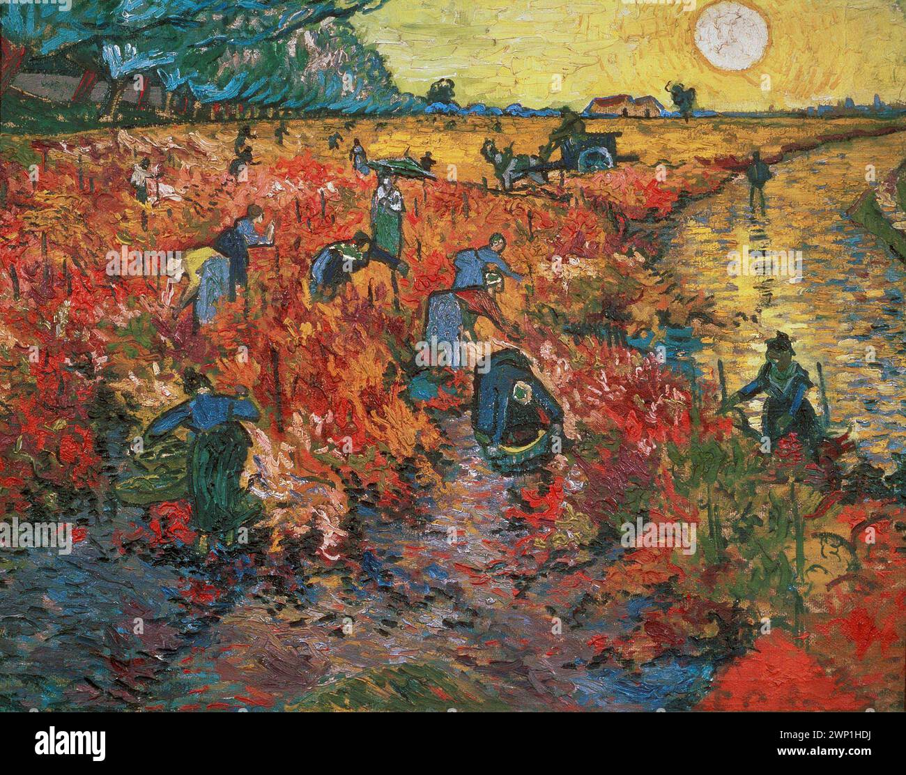 Red vineyards at arles hi-res stock photography and images - Alamy