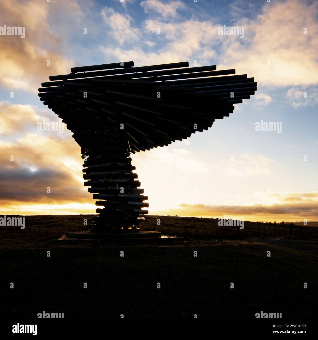 Singing ringing tree silhouette hi-res stock photography and images - Alamy