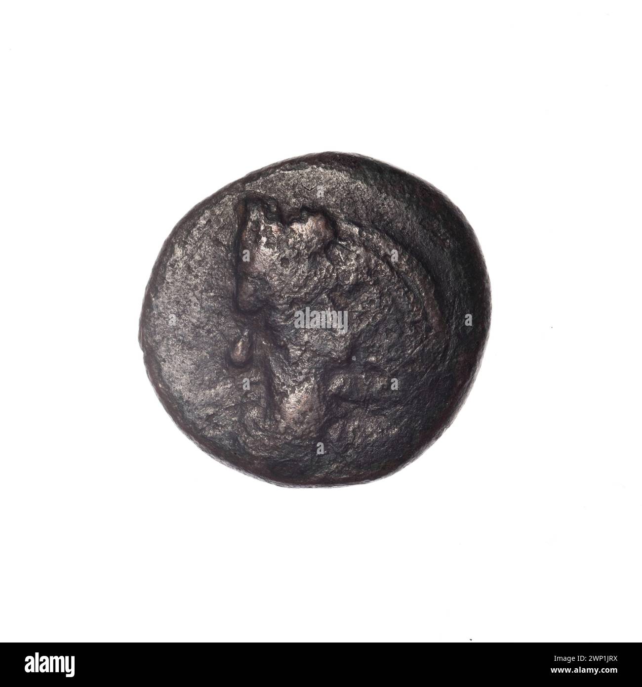Pantikapaion brown coin from 4th-2nd century BC depicting Dioscuri ...