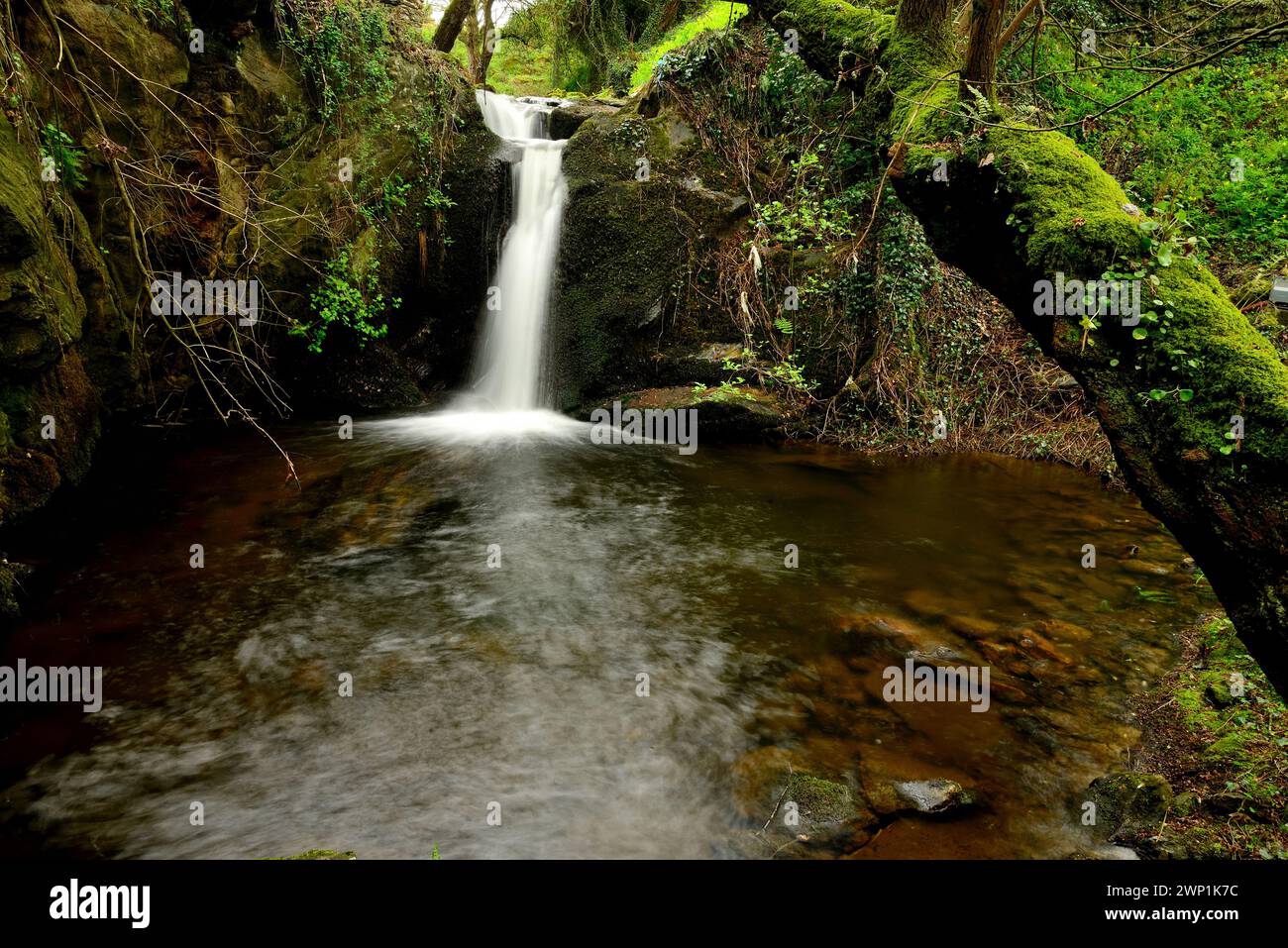 Water pool at bottom of waterfall hi-res stock photography and images ...