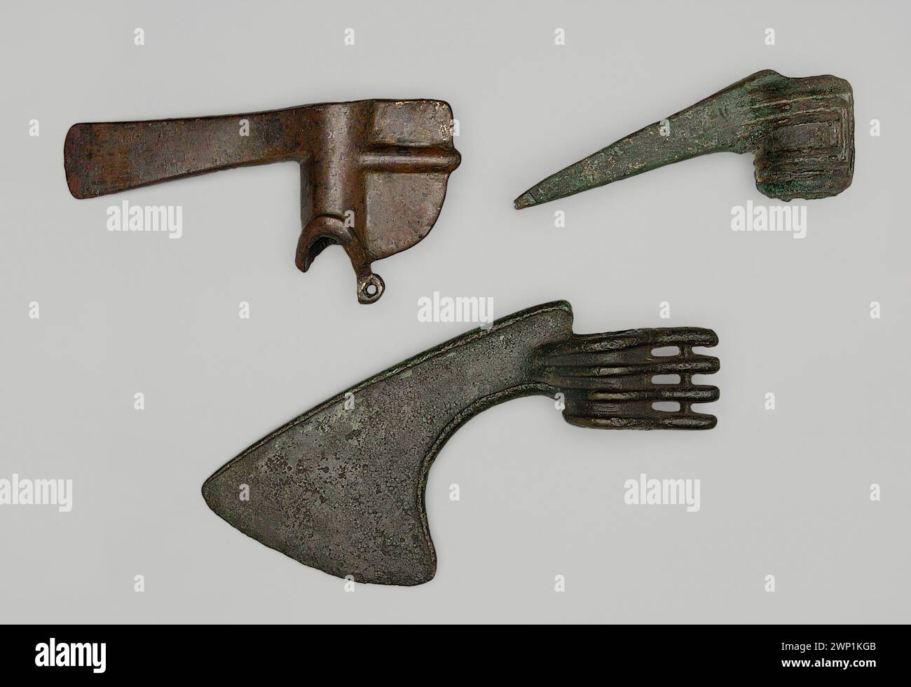 Bron kolczasta hi-res stock photography and images - Alamy