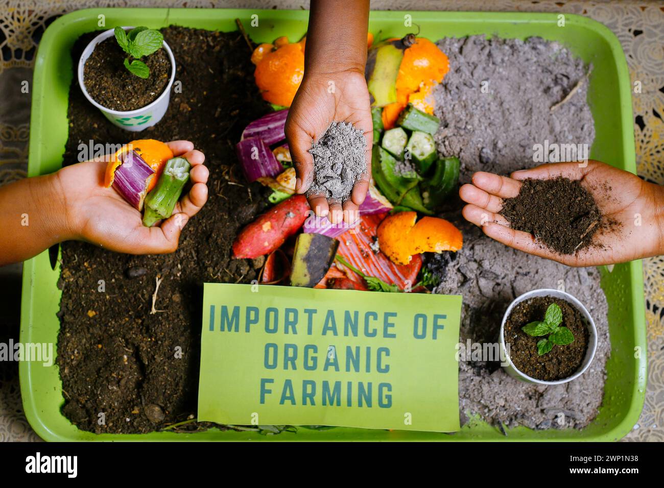 Children making composting in hand top view Stock Photo - Alamy