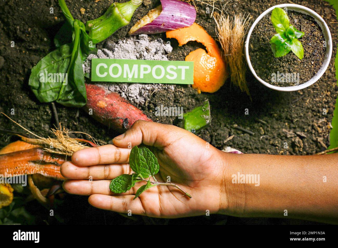 making composting women hanging small plant Stock Photo - Alamy