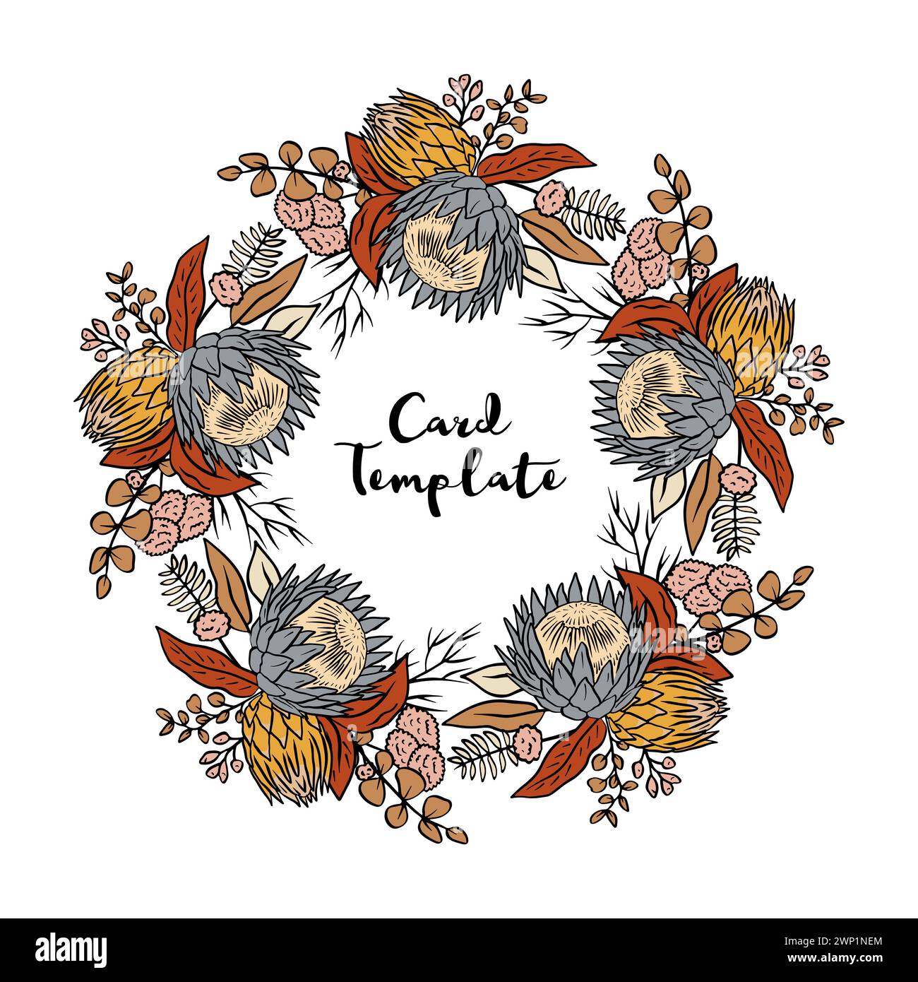 Hand drawn colorful line art tropical protea flower round frame Stock ...