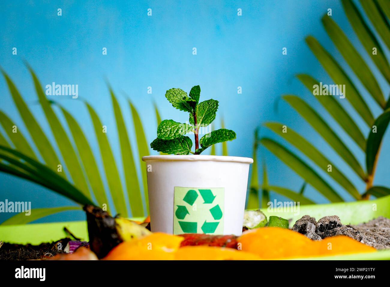 Compost and composted soil cycle as a composting pile of rotting ...