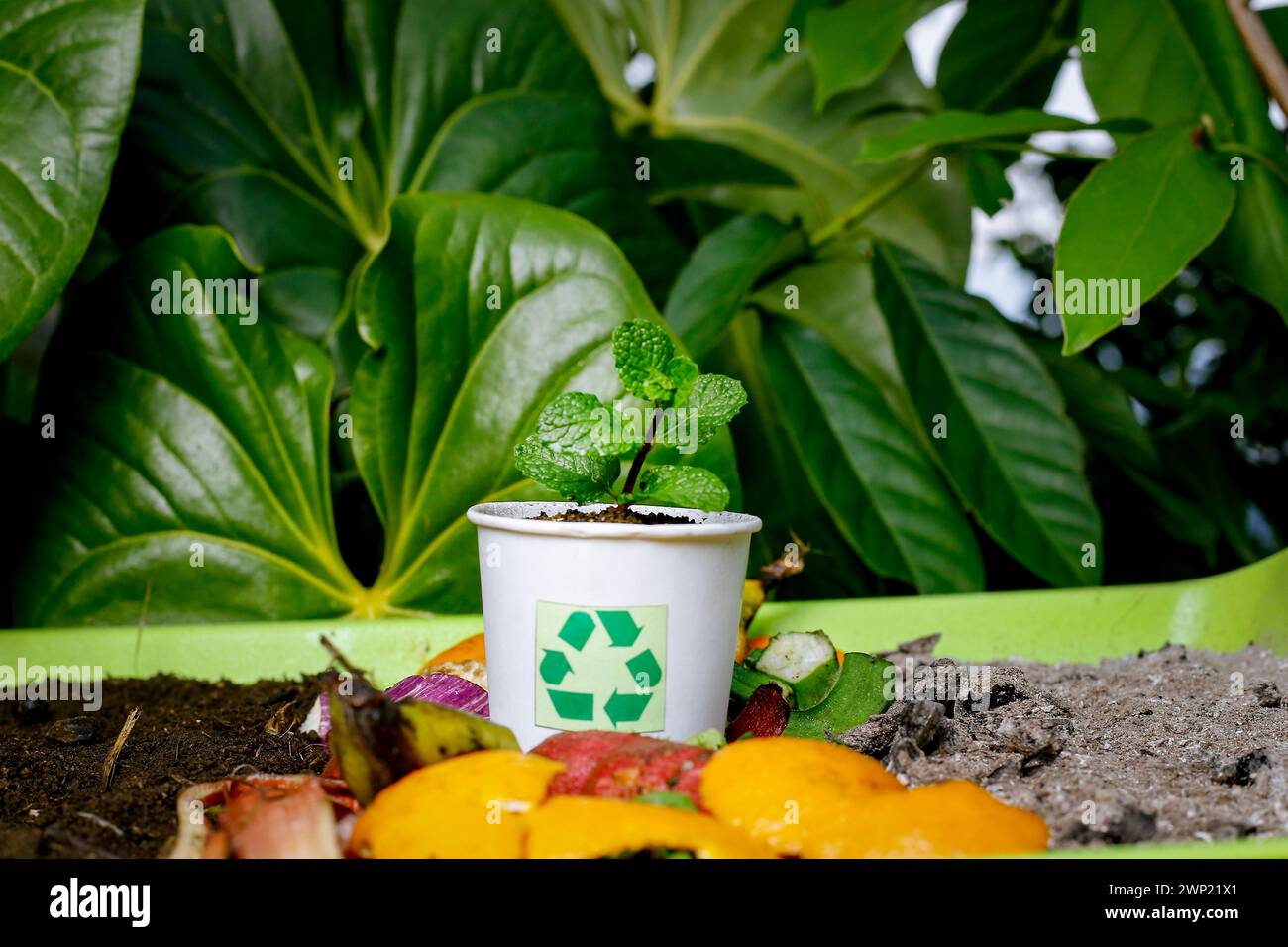 Compost and composted soil cycle as a composting pile of rotting ...