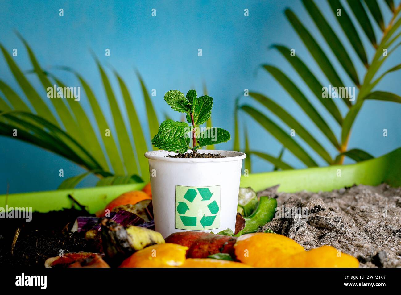 Compost and composted soil cycle as a composting pile of rotting ...