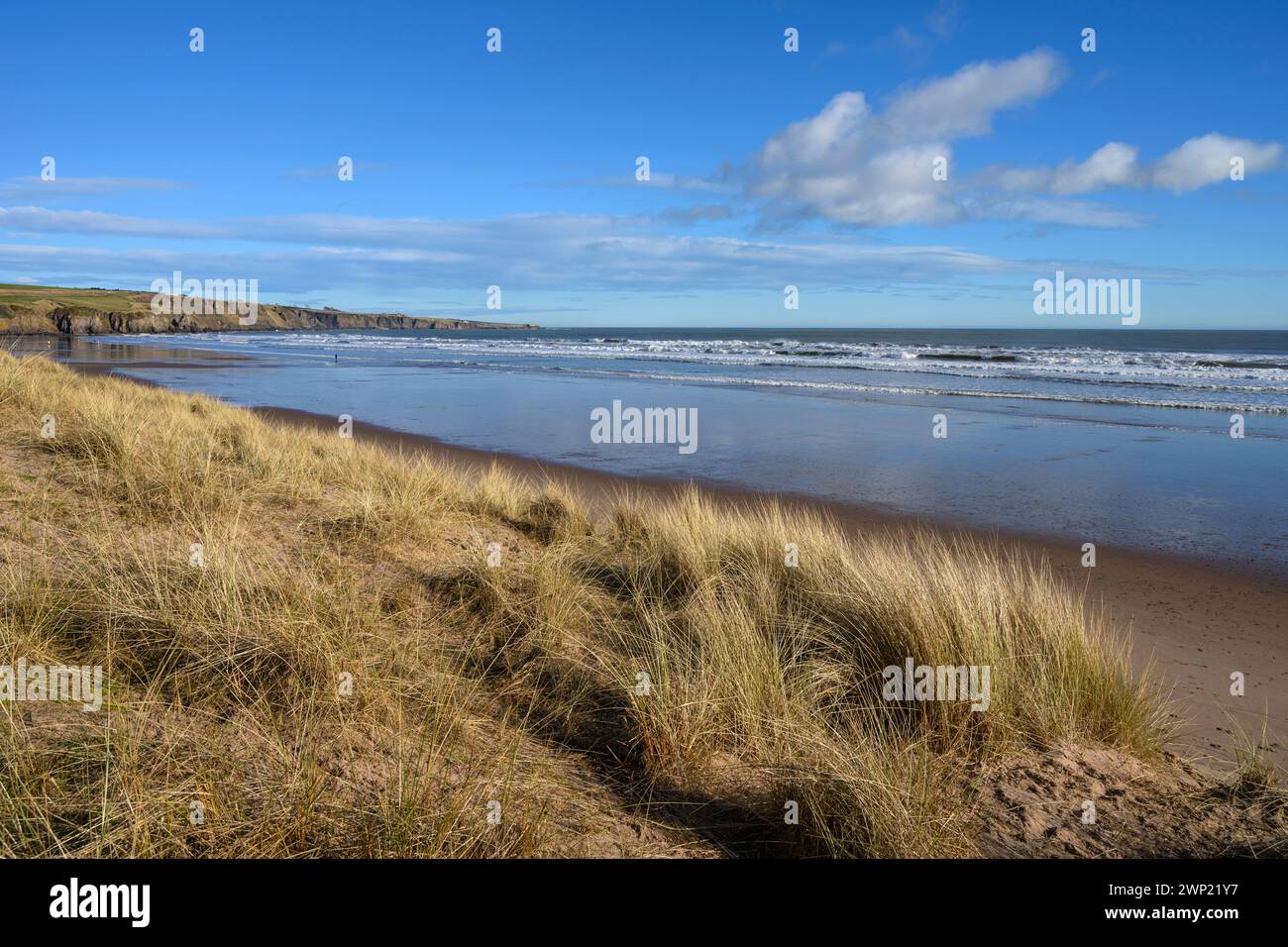 Lunan Bay, Angus, Scotland, UK Stock Photo - Alamy