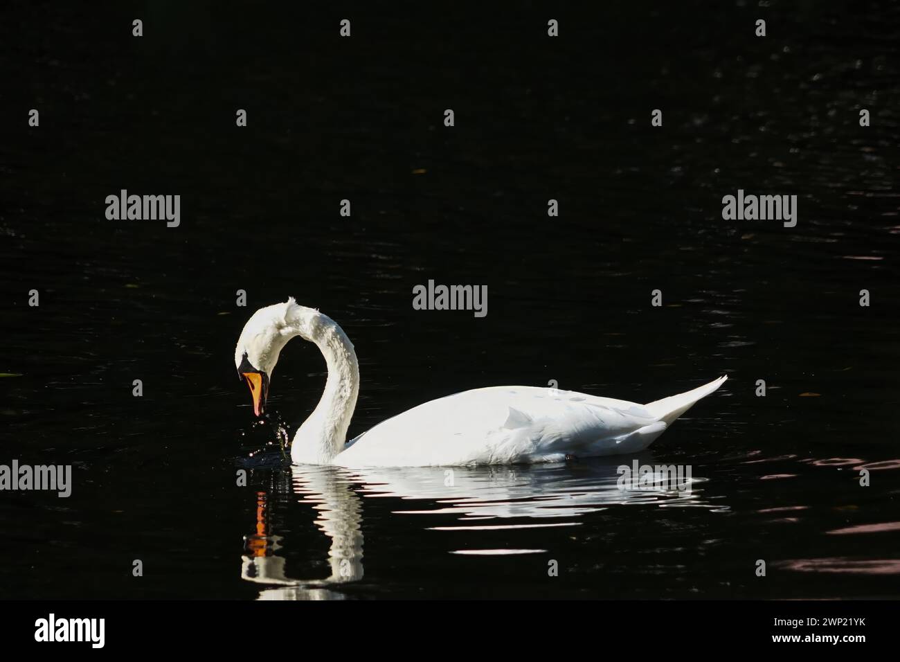 It was a moment when she posed for me there and I managed to take a ...