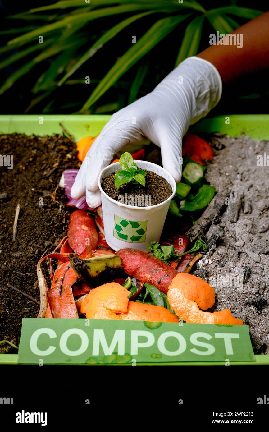 the women ready to Compost and composted soil cycle as a composting ...