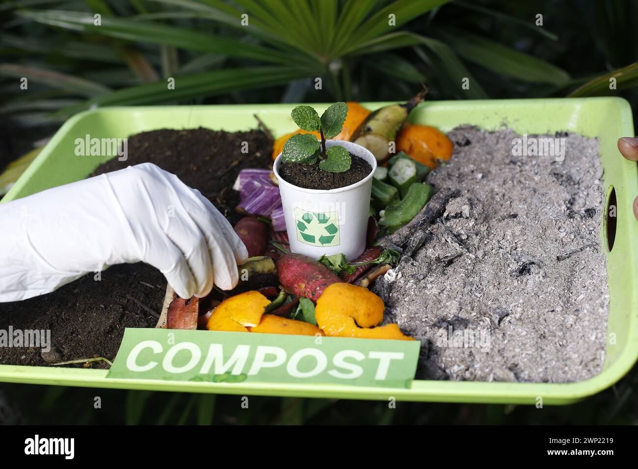the women ready to Compost and composted soil cycle as a composting ...
