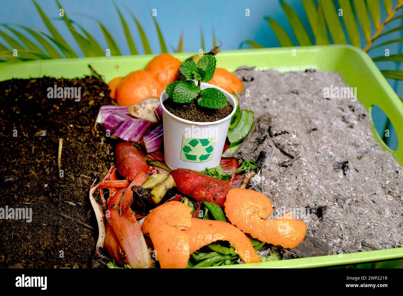 Compost and composted soil cycle as a composting pile of rotting ...