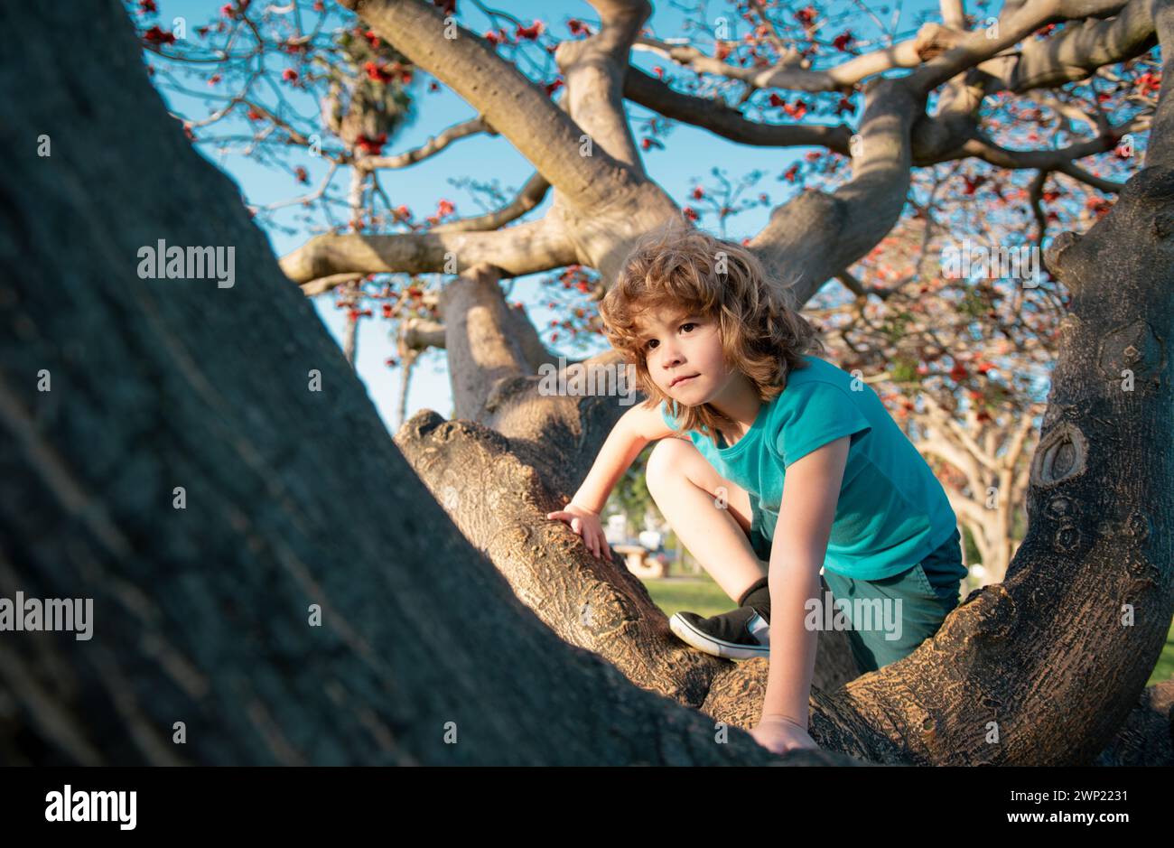 Kid boy sits on tree. Child sitting on a tree branch in summer park ...