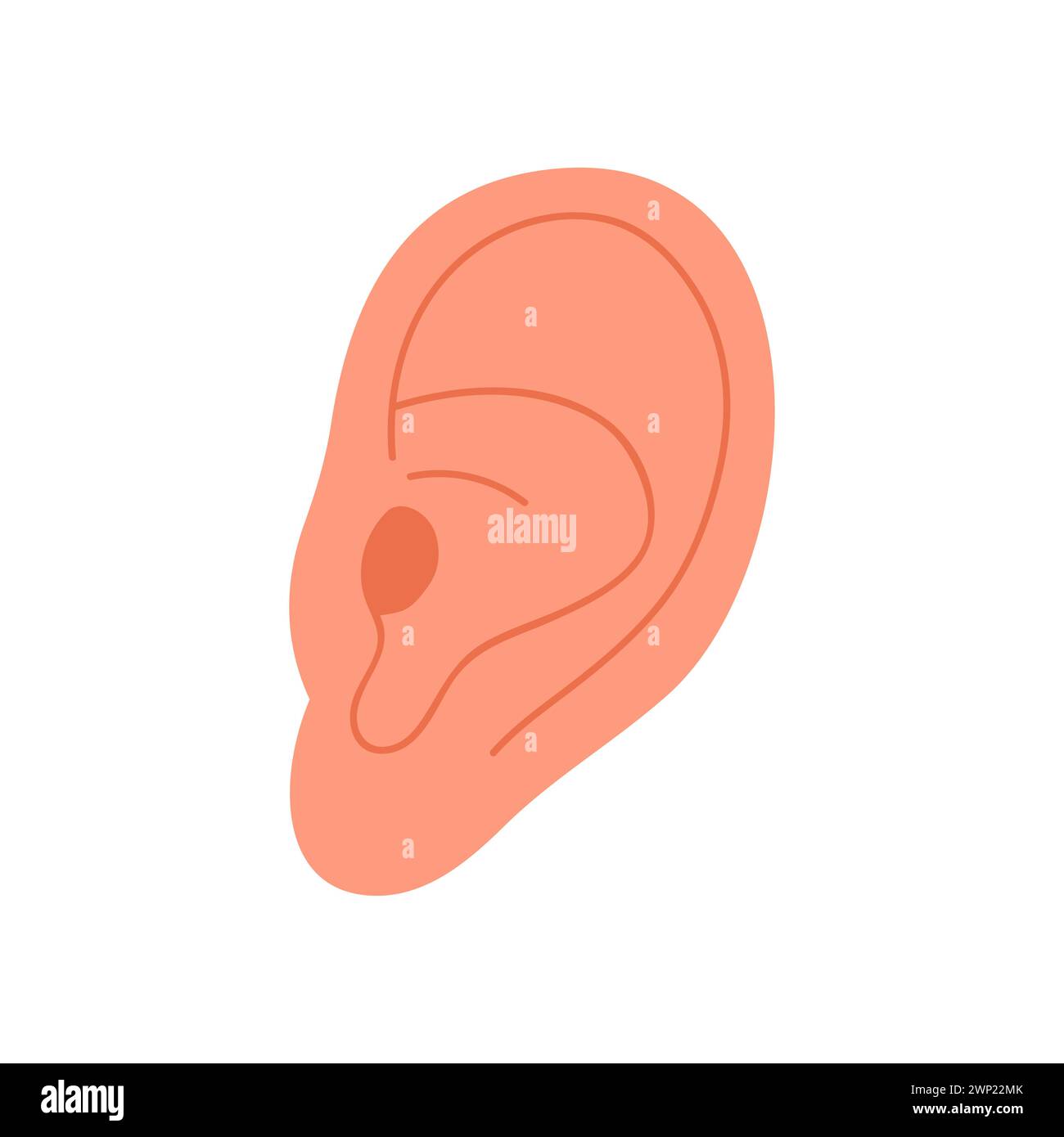 Human ear, body part and organ of hearing to listen sound vector ... Human ear, body part and organ of hearing to listen sound vector ...