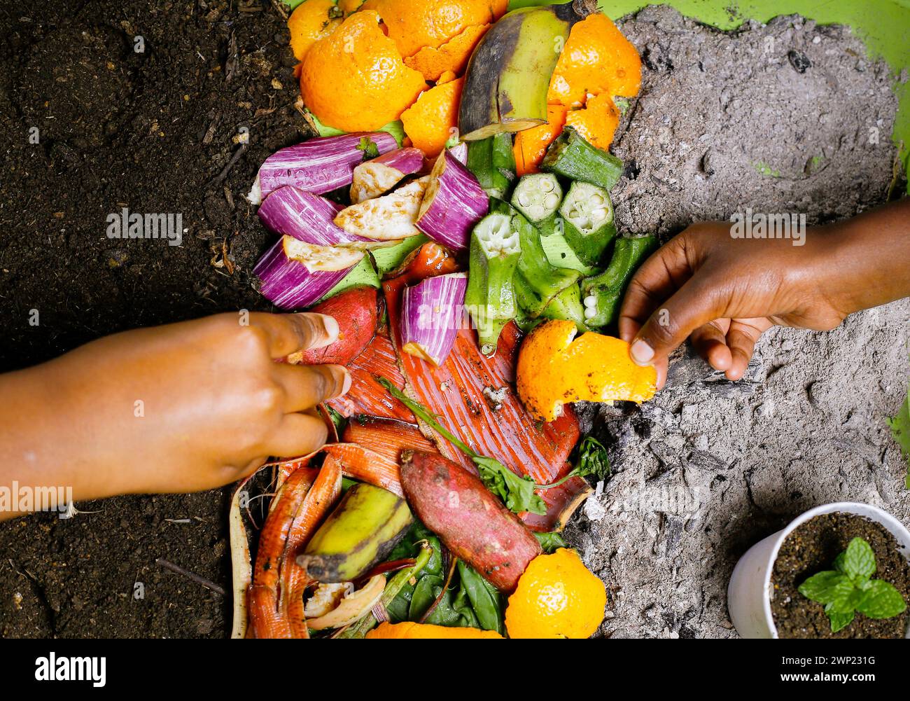Children making composting in hand Stock Photo - Alamy
