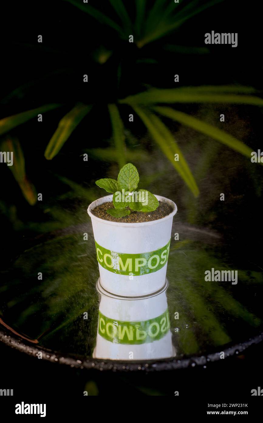 recycle compost soil with small plant Stock Photo - Alamy