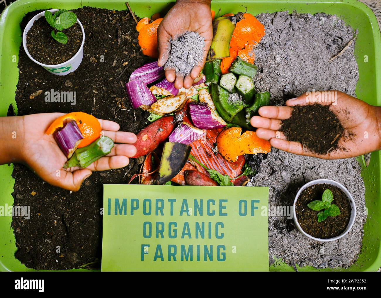 Children community garden recycle hi-res stock photography and images ...