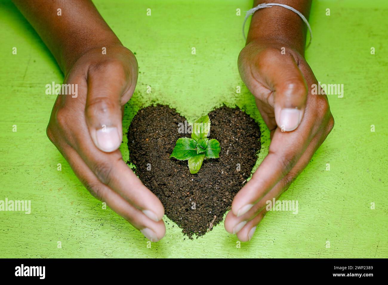 Heart shaped dry soil with woman hands on white wooden background ...