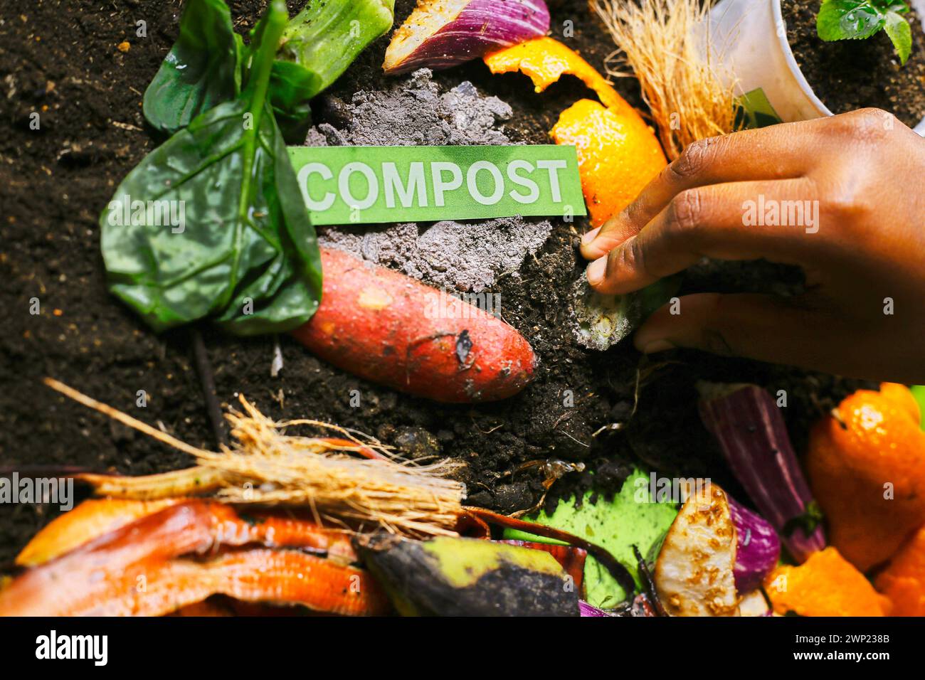 Making banana peel fertilizer hi-res stock photography and images - Alamy