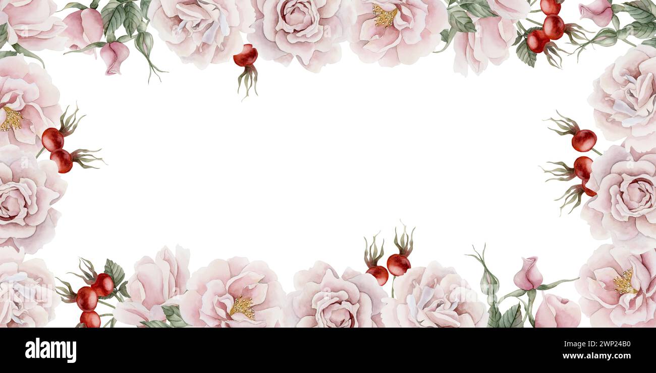 Horizontal frame of pink rose hip flowers, buds, leaves and berries ...