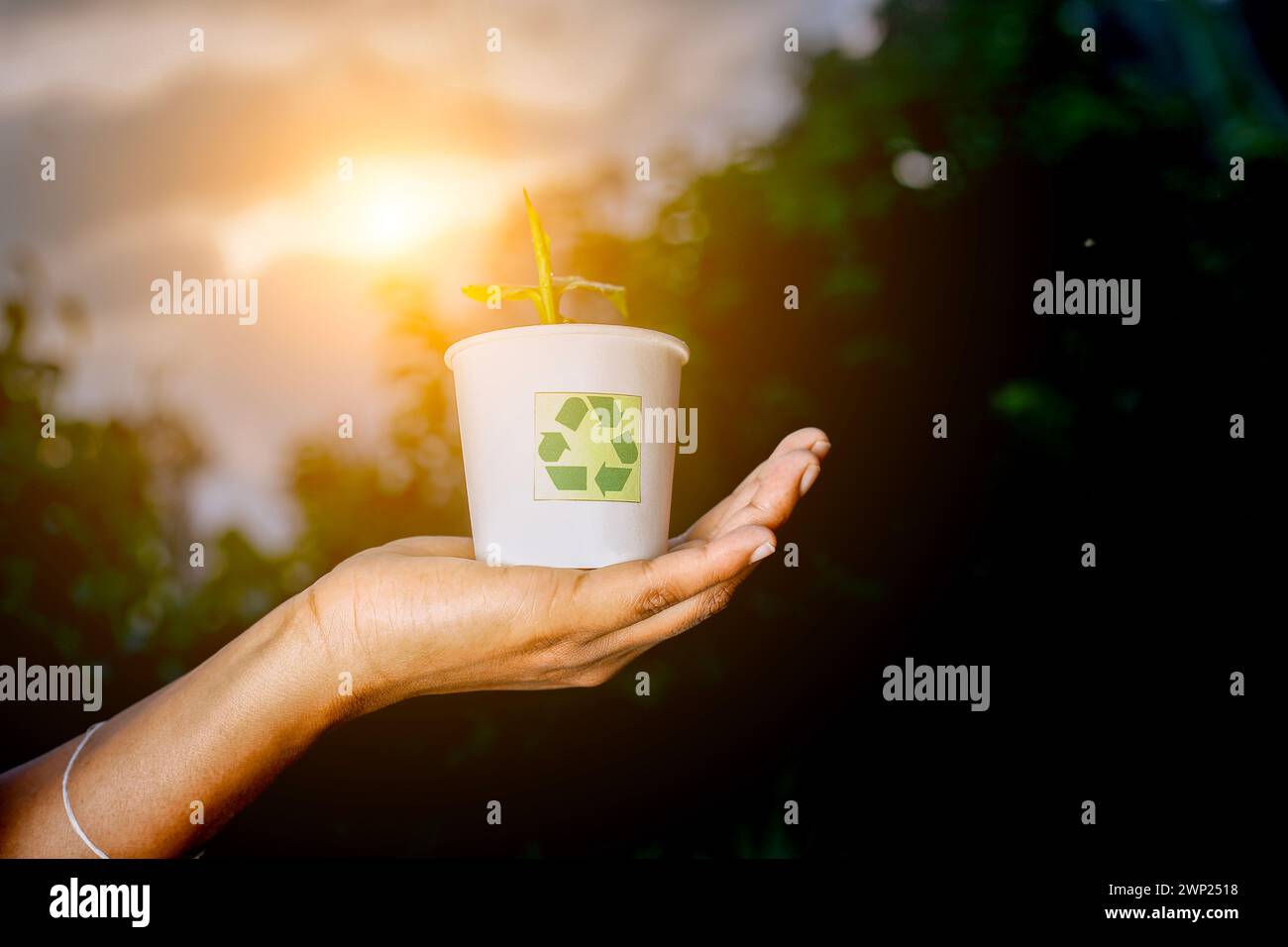 the women handling recycle and composted plant in waste cup Stock Photo ...