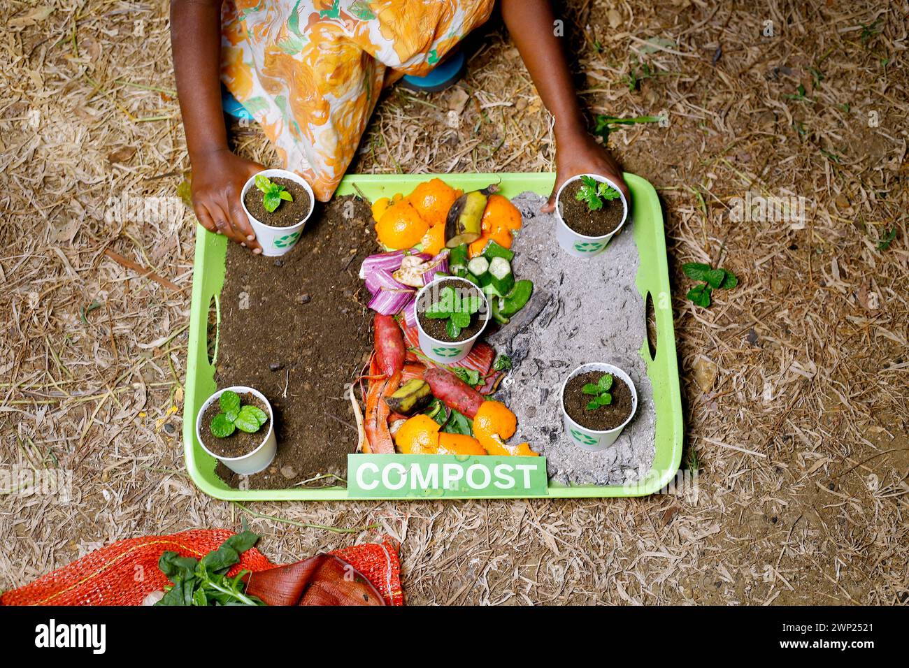 the children ready to Compost and composted soil cycle as a composting ...